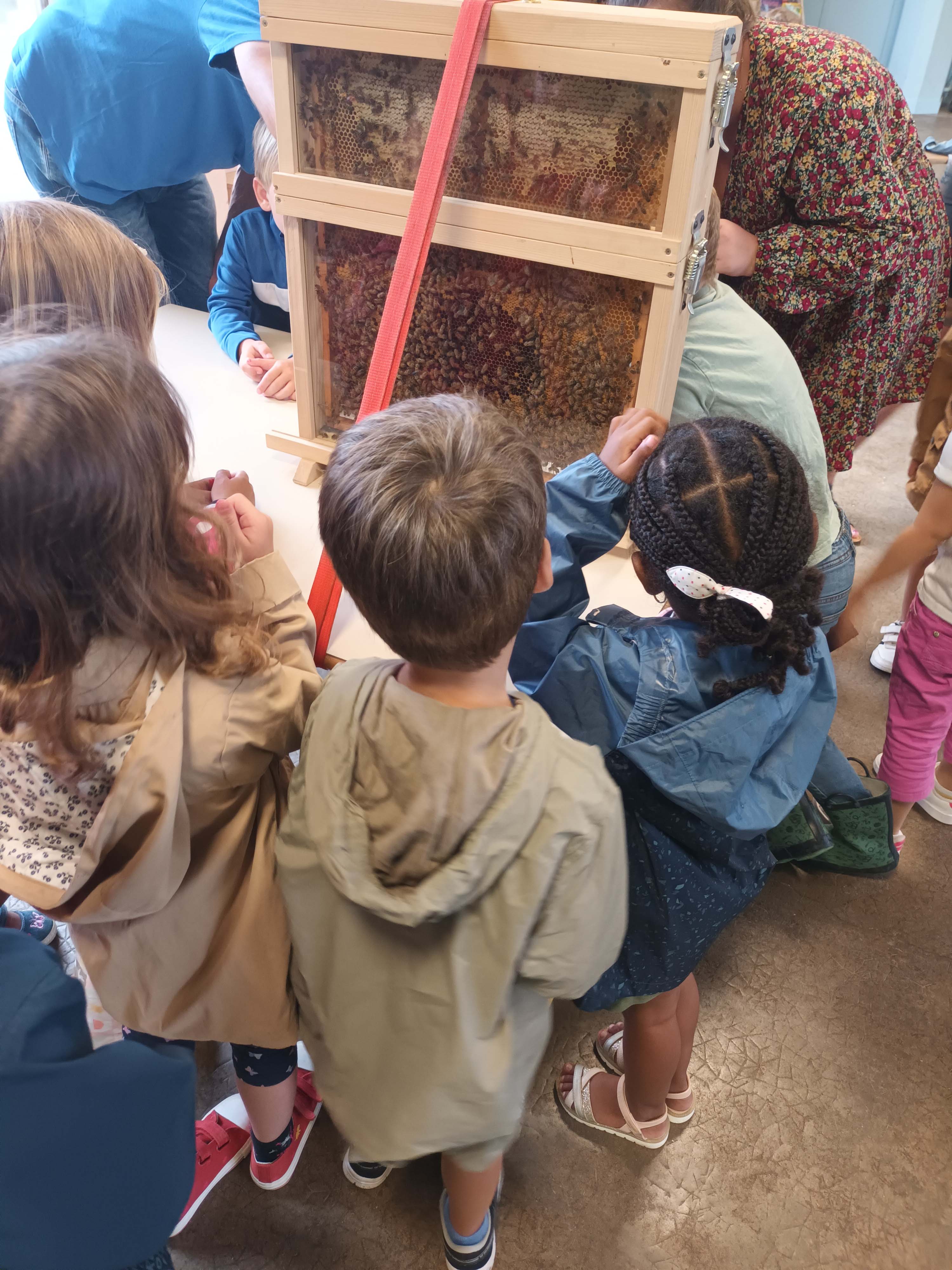 Les enfants de l'accueil de loisirs de Fraisans découvre la vie de la ruche | Jura Nord